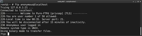Установка и настройка pure ftpd в freebsd 14 notby