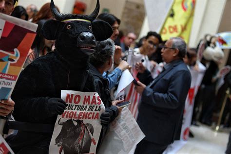 Prohibición De Corridas De Toros Esto Podría Pasar Con Los Bovinos