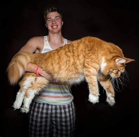 This Massive Pussy Rabsoluteunits
