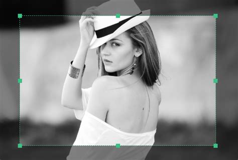 Create Almost Any Cropper That You Desire With Vue