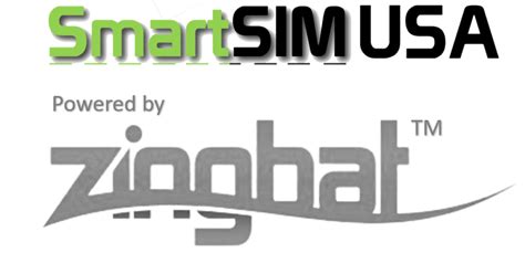 Shop Smartsim Usa Sims And Esim All Access Passes