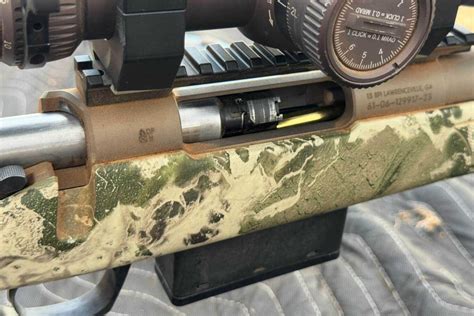 Cva Cascade Varmint Hunter Review
