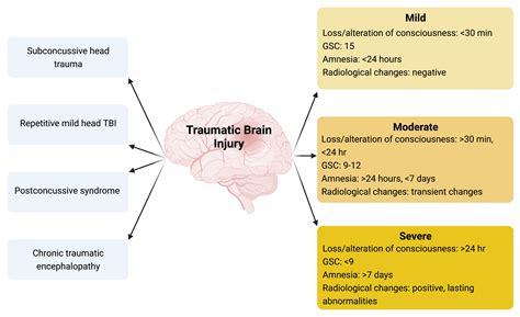 Traumatic Brain Injury