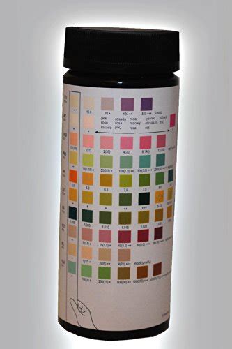 Easy Home Areta 10 Parameter 10SG Urinalysis Reagent Test Strips 50
