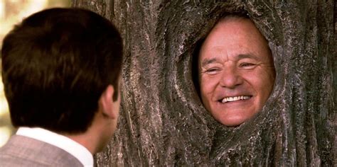 Best Trees In Movies From Agent 13 To Grandmother Willow