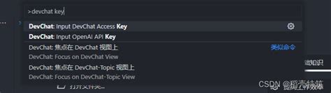Vs Code插件devchat助力科研帮忙写代码（devchat注册与安装）vscode 官方chat Csdn博客