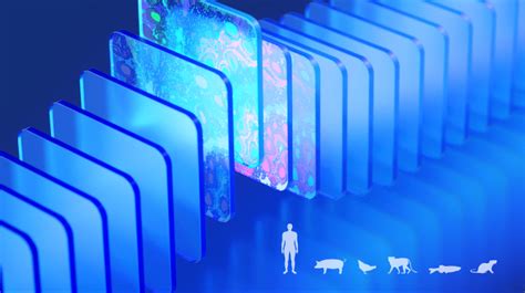 Deeper Spatial Discovery With Visium Hd 3 Millennium Science Deeper Spatial Discovery With Visium Hd 3 Millennium Science