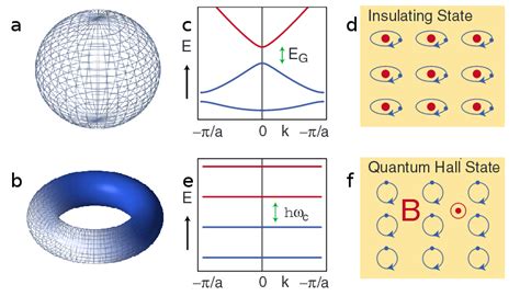 2 example of object with genus g 0 a and g 1 b c and d depict