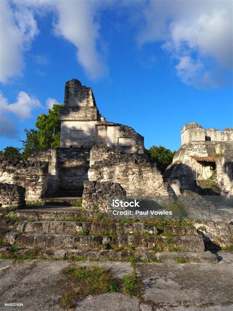 Tikal 도시 폐허와 피라미드 과테말라 0명에 대한 스톡 사진 및 기타 이미지 0명 건물 외관 건축 Istock