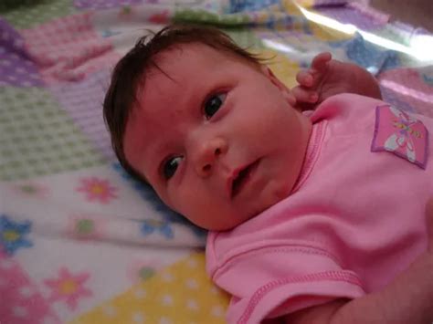 Blanket Texture Free Photo Download Freeimages