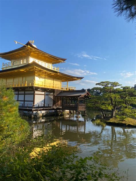 일본여행 교토 가볼만한 곳 2 교토 추천 여행지 아라시야마 대나무 숲치쿠린 Arashiyama Bamboo