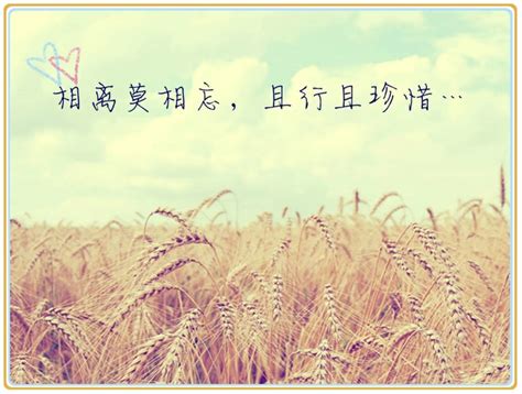 且行且珍惜句子且行且珍惜头像大山谷图库