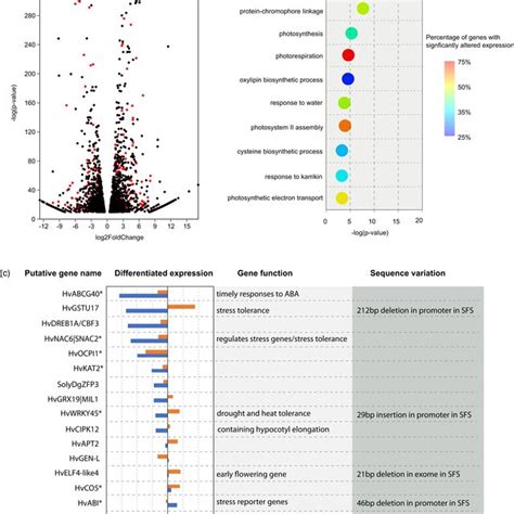 Differentiated Gene Expression In Adaptive Divergence And The Download Scientific Diagram