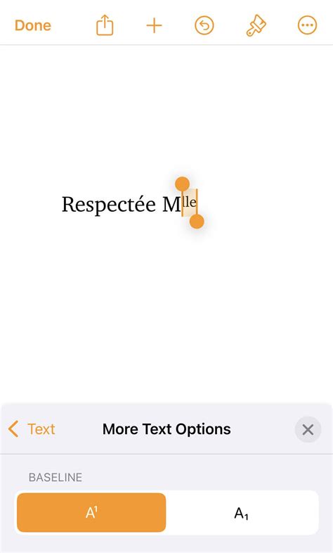 How To Insert Superscript Characters In Apple Pages La De Du