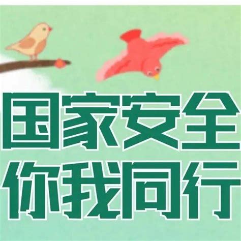 田家镇街道各中小学校积极开展国家安全教育日活动人人田树宝家长