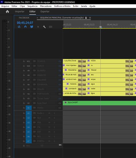 Erro Grave Da Adobe Para AtualizaÇÃo 266 Prem Adobe Community