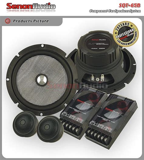 10 12INCH Dual 4 Ohm Subwoofer Car Audio Shallow Mount Sub Woofer Car Subwoofer Slim High End