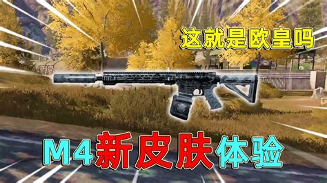 暗区突围体验M4新皮肤新赛季首个皮肤328就抽到了所有东西 高清1080P在线观看平台 腾讯视频