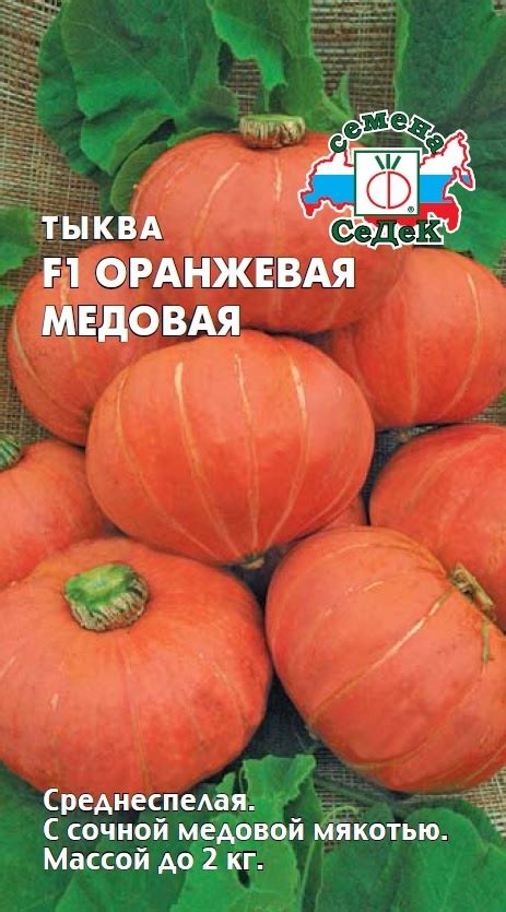 Тыква Медовый Десерт Описание Сорта Фото – Telegraph