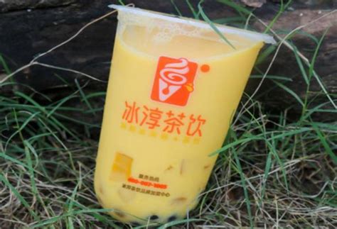 冰淳茶饮加盟加盟费多少冰淳茶饮加盟电话流程条件 创业加盟网