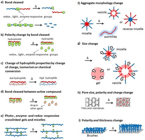 Behaviour Of Redox Enzyme And Light Responsive Polymers Download