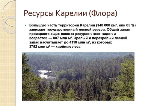 Экологические проблемы Республики Карелии - презентация онлайн