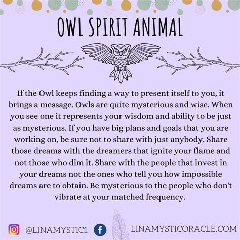 What Does A White Owl Symbolize Meaning Spiritual Significance