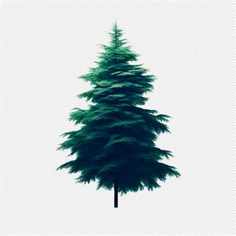 Premium Psd Old Tree