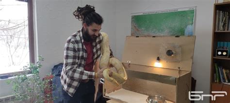 Спасяват екзотични видове в Центъра за защита на природата и животните в Добрич Front Bg