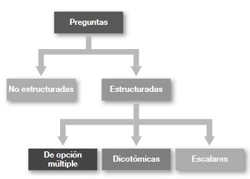 Dise O De Cuestionarios Y Formularios Mind Map