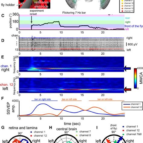 Knn Classifier For The Automatic Labelling Of Dataa Flowchart