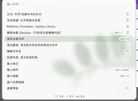 Shift P Issue Muisedestiny Zotero Style