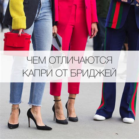 Чем отличаются капри от бриджей? - Я Покупаю
