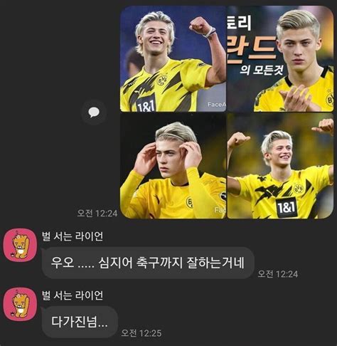 홀란드를 본 여친  포텐 터짐 최신순 에펨코리아