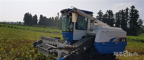 국산 팥 ‘홍다 기계수확 적합·품질 우수성 확인