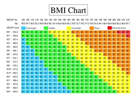 Body Mass Index Dan Cara Perhitungannya