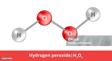 화학 물질의 벡터 볼 앤 스틱 모델 과산화수소 분자 H2o2의 아이콘은 수소와 산소로 구성됩니다 흰색 배경에 고립 된 교육에
