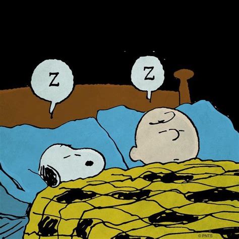 Twitter Snoopy Sleeping Snoopy Pictures Snoopy Love