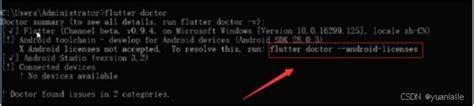 如何使用flutter Doctor命令检测环境是否配置成功 Csdn博客