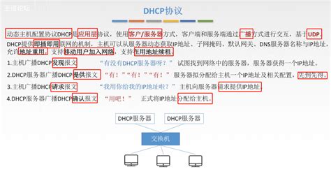 计算机网络——dhcp协议 Csdn博客