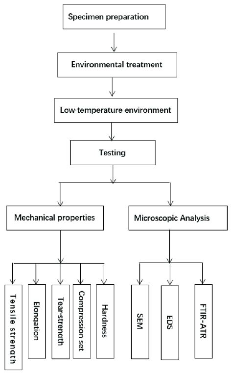 Experiment Flow Chart Download Scientific Diagram