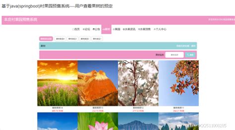 springboot vue村果园预售系统 python nodejs php 计算机毕业设计 csdn博客