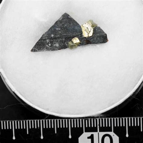 Komurominerals 日本産鉱物JAPAN 東北地方 黄銅鉱Chalcopyrite 三角式結晶