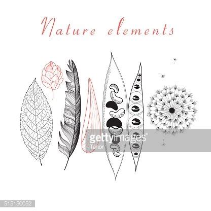 Natural Set Of Different Objects Stock Clipart Royalty Free FreeImages