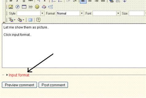Computer Anatomy Notes Flashcards Quizlet