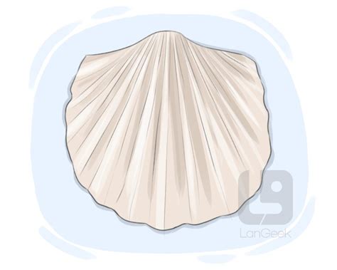 Definition And Meaning Of Brachiopod Picture Dictionary