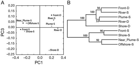 Clustering Of Stations Based On A Principal Coordinate Analysis