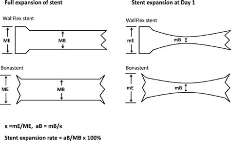 The Schematic Estimation Of Stent Expansion Rate The Minimal Diameter