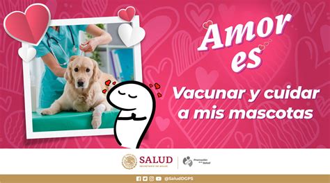 Salud SPPS On Twitter RT SaludDGPS La Rabia Es Una Enfermedad Que