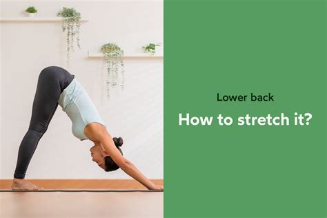 How To Stretch Your Lower Back Evolve Chiropractic